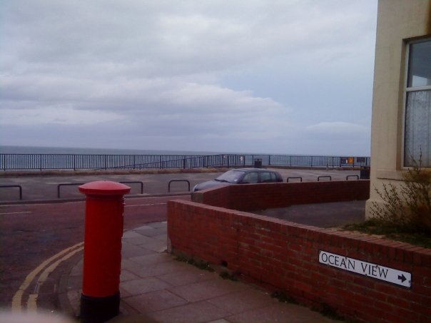 Martin Veale - Steel and Survival