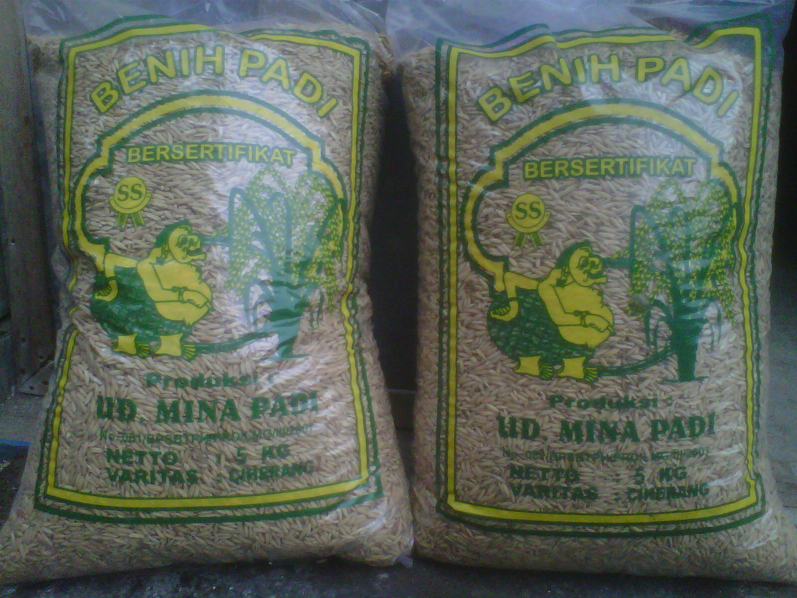 ArdianSyahruL: BENIH PADI