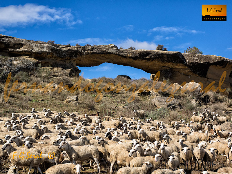 -PAISAJES DE LOS MONEGROS - Fotografias-Fernando Gonzalez Seral: El ...