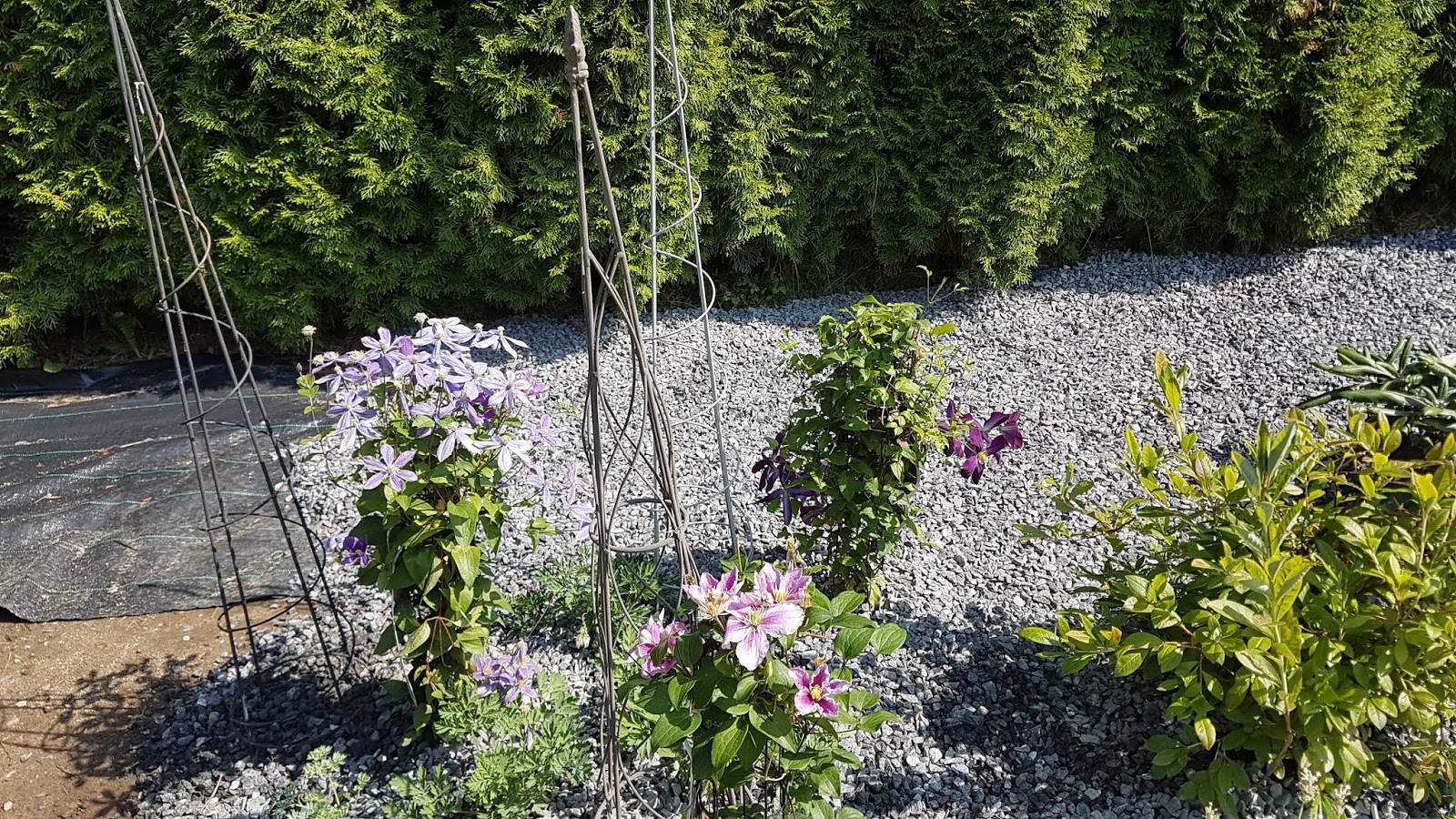 Marits hagedagbok: Evige blomster, og de tre tårn...