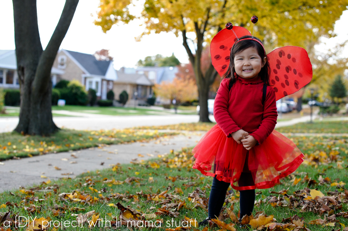 Homemade Ladybug Costume For Teens