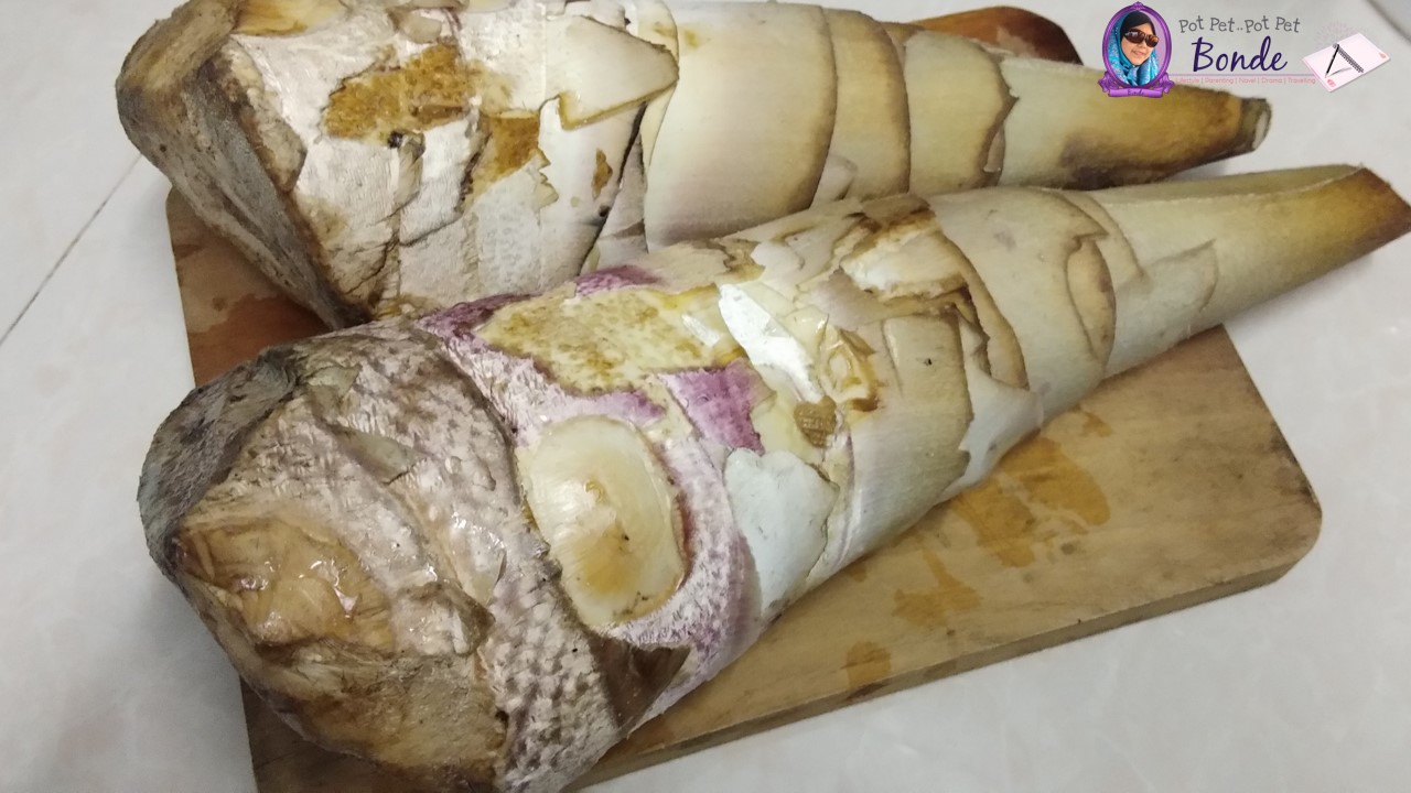 Cara Nak Proses Jeruk Rebung