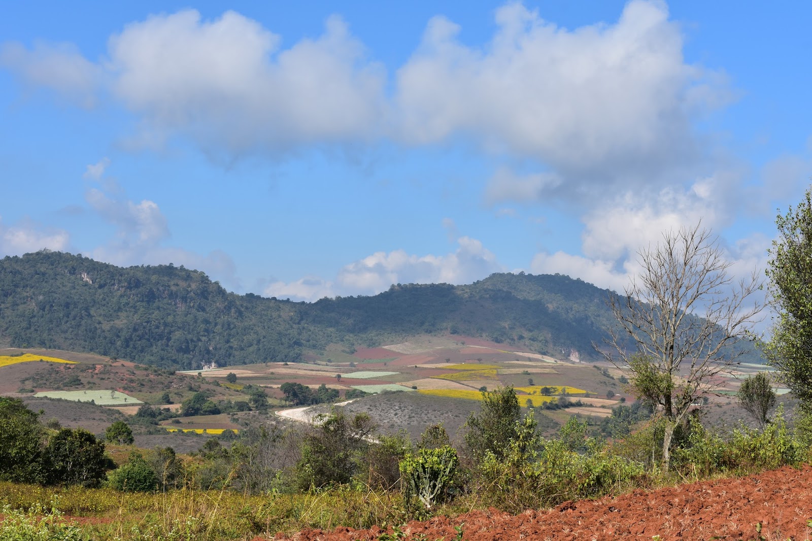 Kalaw Trekking Tour: Kalaw trekking