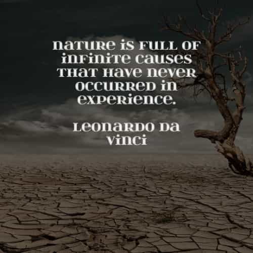 85 Nature quotes that'll inspire to love and value its beauty