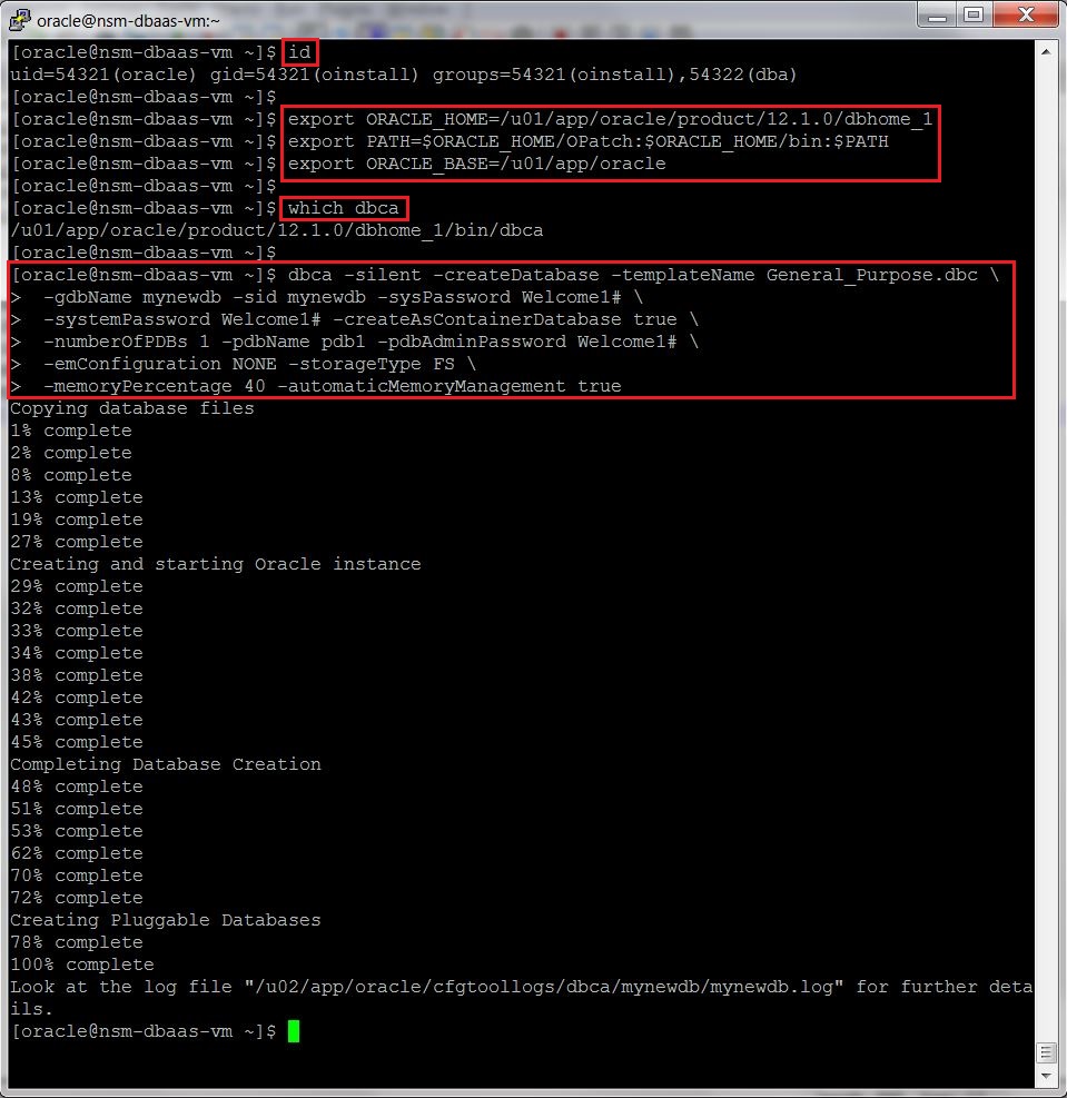 Netsoftmate Technical Blog : Oracle DBCS : Create Virtual Image Database Deployment - Part 4