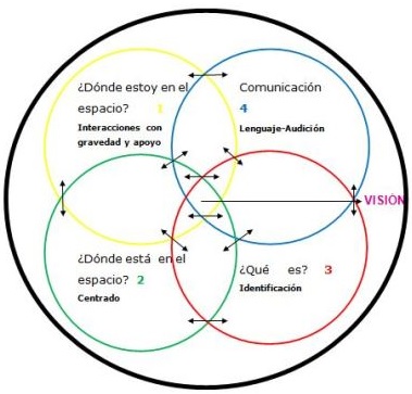 Percepcion Visual: Modelos de visión: Skeffington Y Getman.