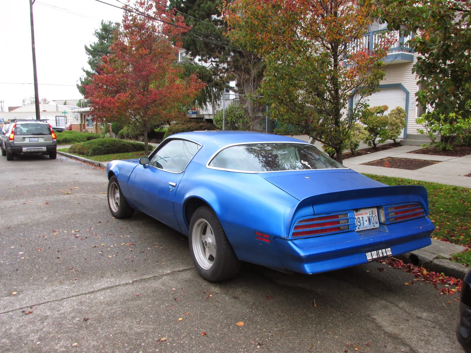 Seattle's Classics: 1978 Pontiac Firebird