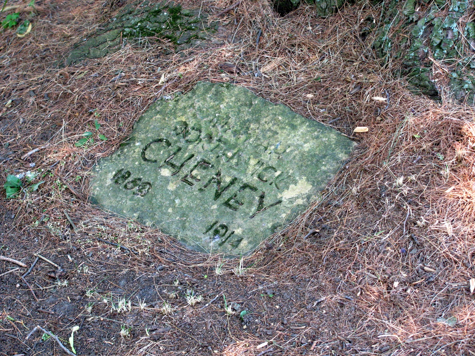 Black Cat Lies: Taliesin Road Trip Day 2 Part one: Four Hours with ...