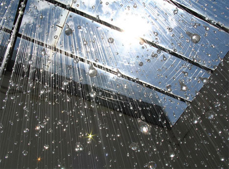 maddy scharf: Installation Art