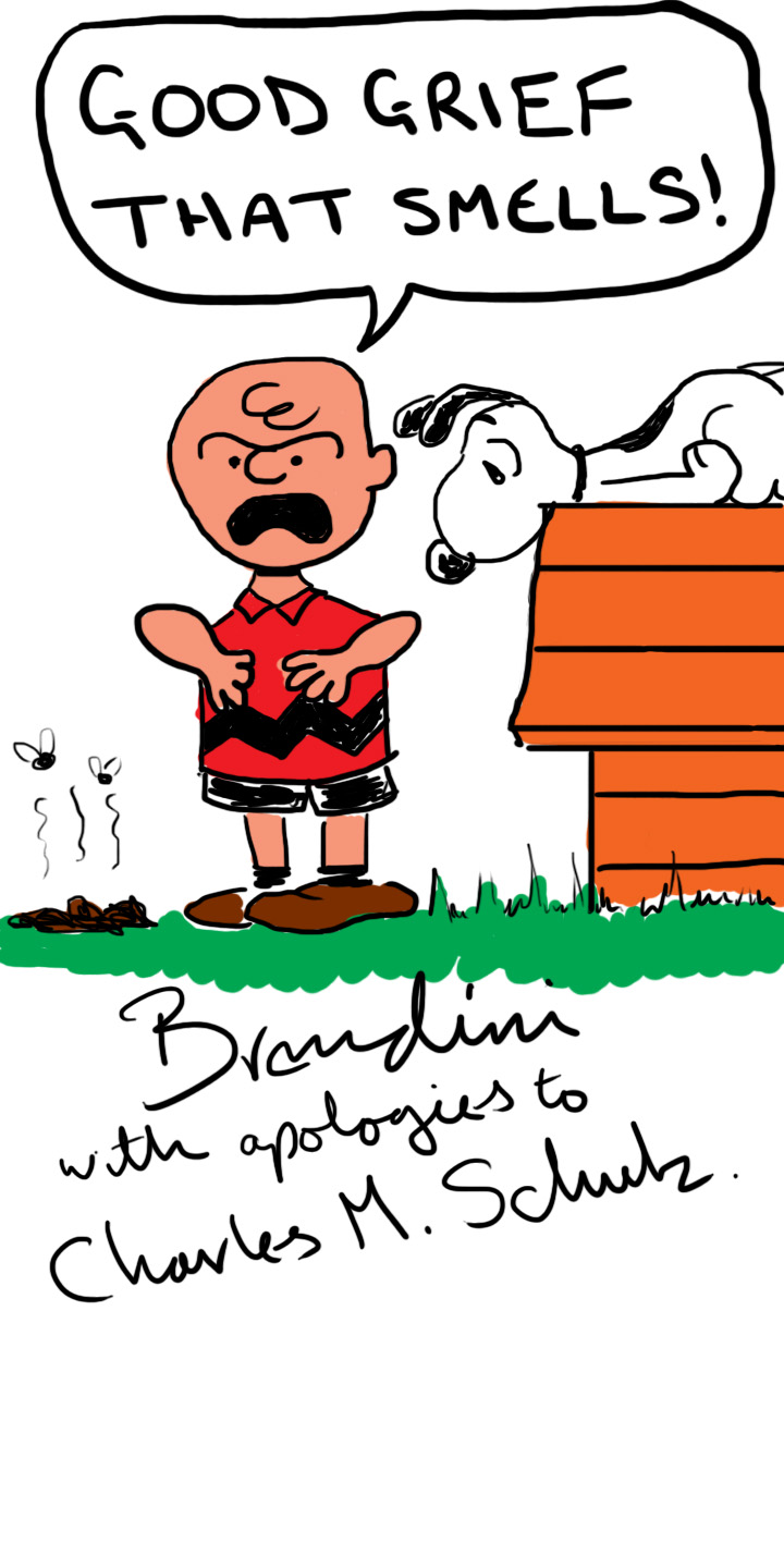 Brendini Cartoons: January 2013