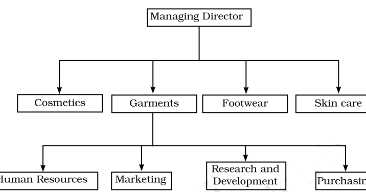 NCERT Solutions for Class 12th: Ch 5 Organising - Study Rankers