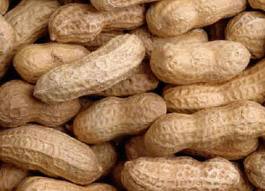 Propiedades del Cacahuate