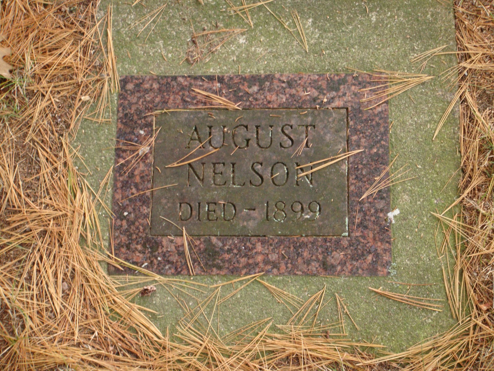 Minnesota Cemeteries: Darling Cemetery Children (Morrison County) Minnesota