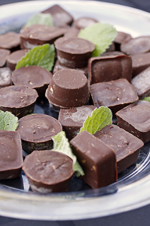 There's a Newf in My Soup!: Coronado Concerts in the Park: Mushrooms ...