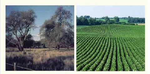 componentes de los agro ecosistema