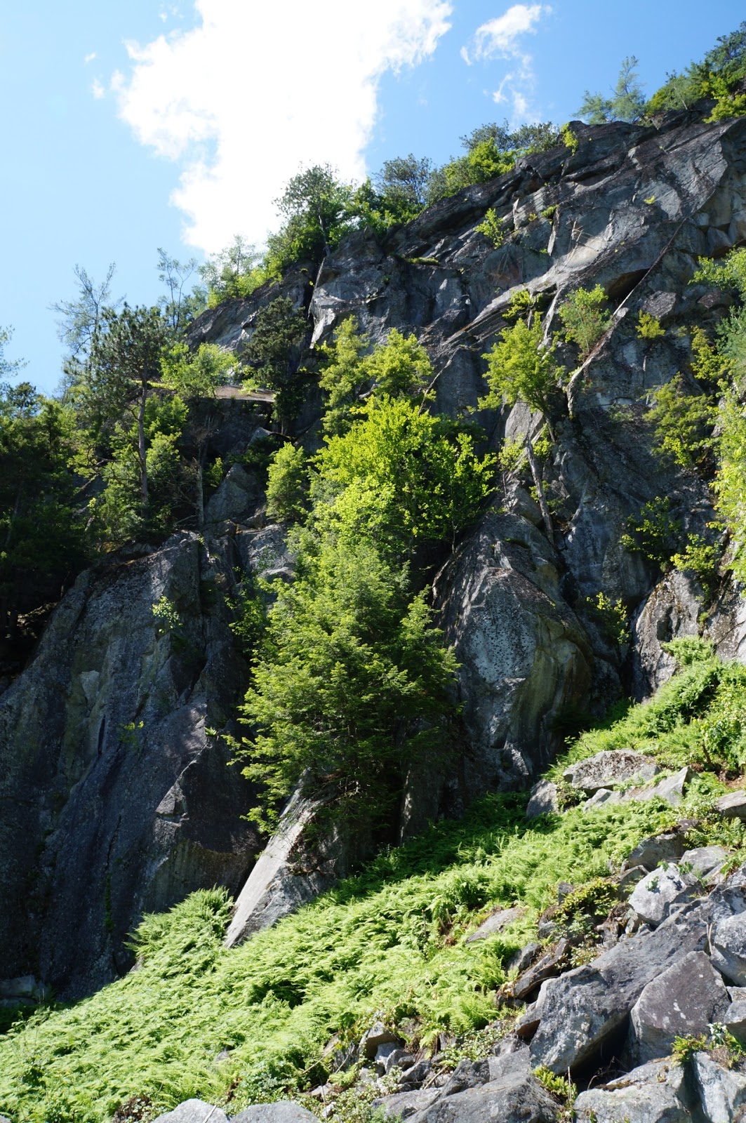 Evan and Lauren's Cool Blog: 7/6/15: Exploring Polar Caves Park Rumney, NH