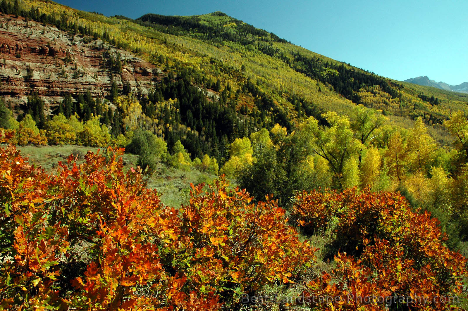 Colorado Wilderness - Hiking and Camping in the Backcountry: The ...