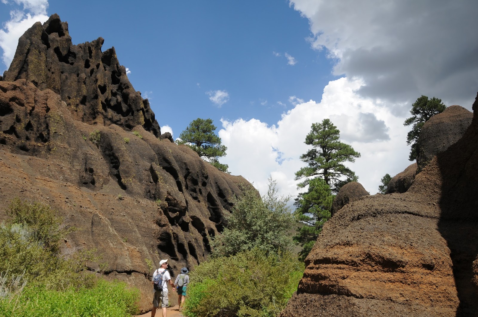 Arizona Hiking: RED MOUNTAIN TRAIL