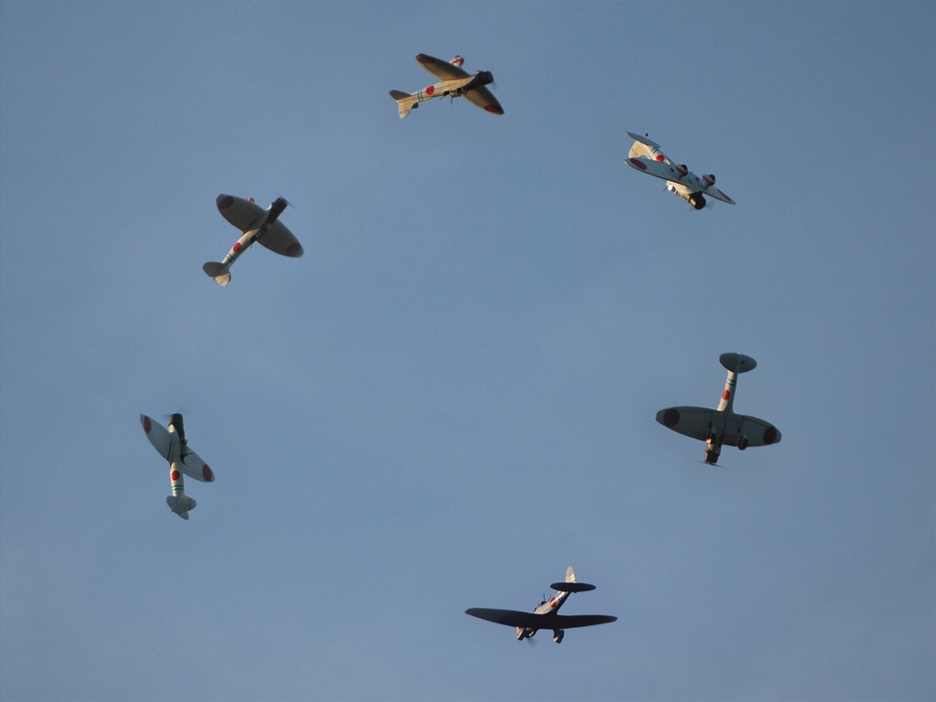 Mon carnet de vol: Un looping, un looping...