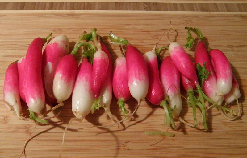 Seasonal Eating: Sweet and Spicy Marinated Radishes