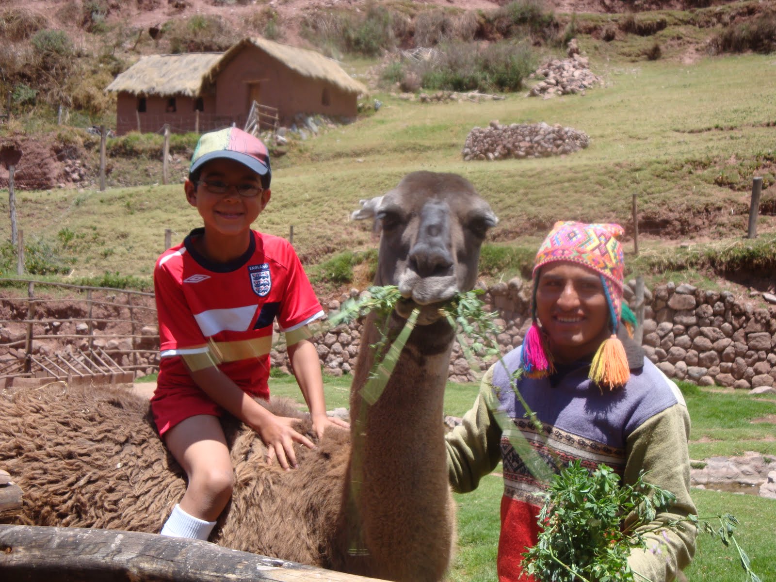 Williamson Family in Peru: Riding llamas