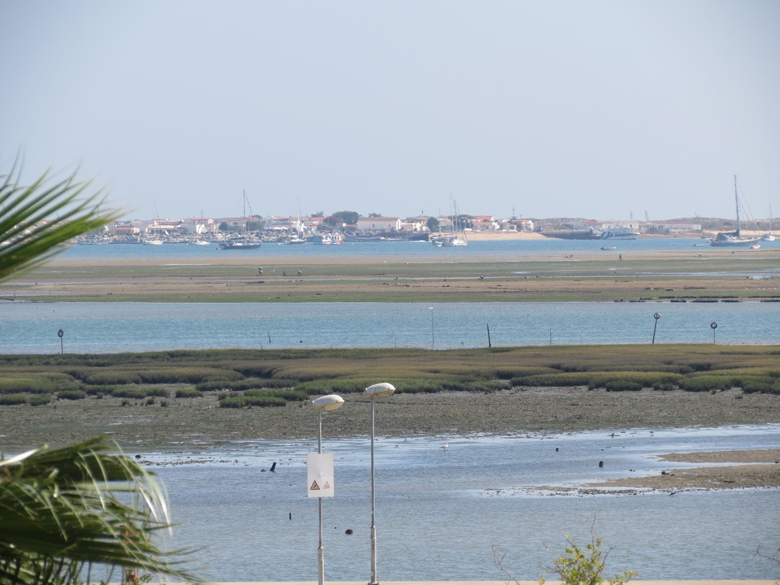 DIVERSIDADES: A beleza da Ria...!!!