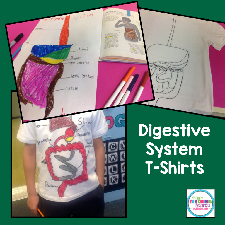 Show & Tell Tuesday - Primary Teaching Resources