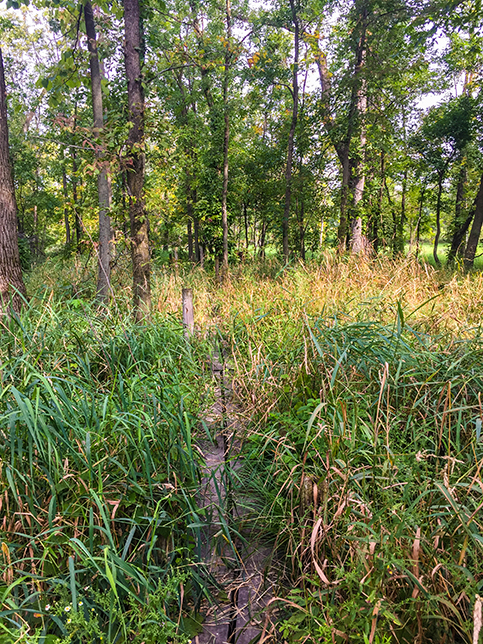 Hiking the Ice Age Trail Holy Hill Segment