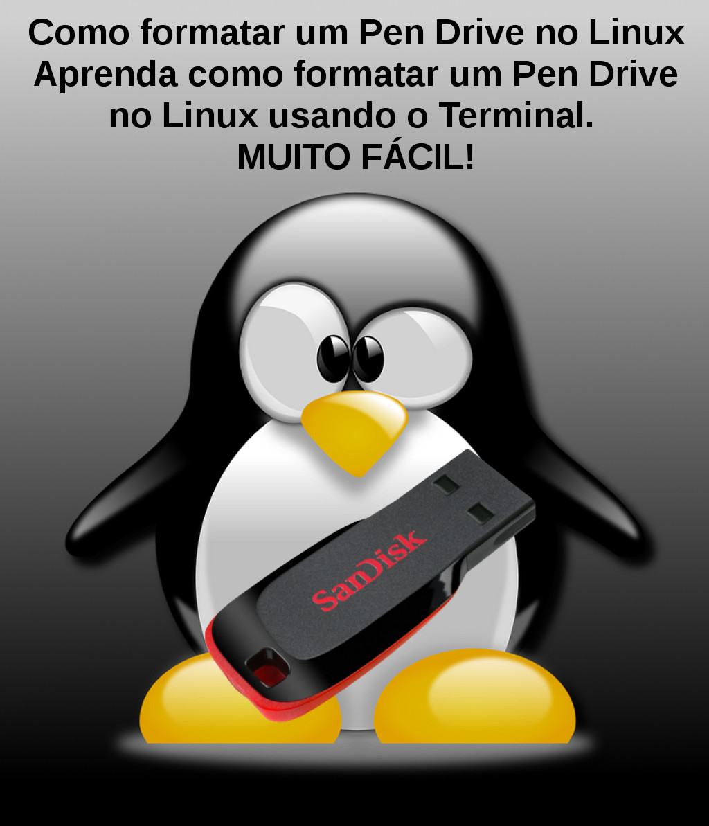 I love ubuntu!: Comandos para formatar um Pen Drive no Linux. MUITO FÁCIL!