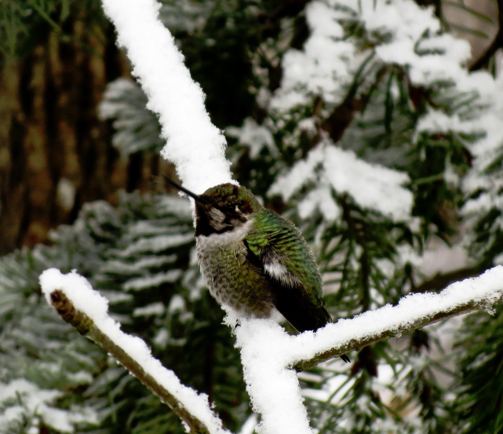 Awful Normal Photography