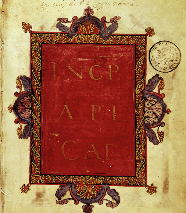 lostpastremembered: Apicius’ Sala Cattabia Apiciana –– Chicken and ...