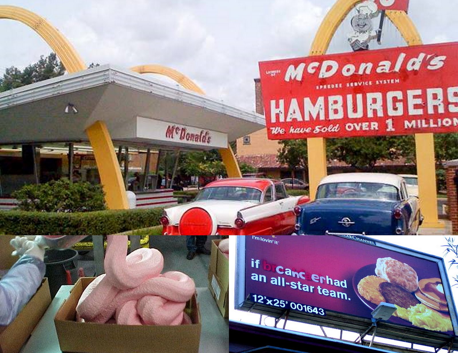 Plant Based Organic Diet Cure for Cancer - Don Porter: No More Pink ...