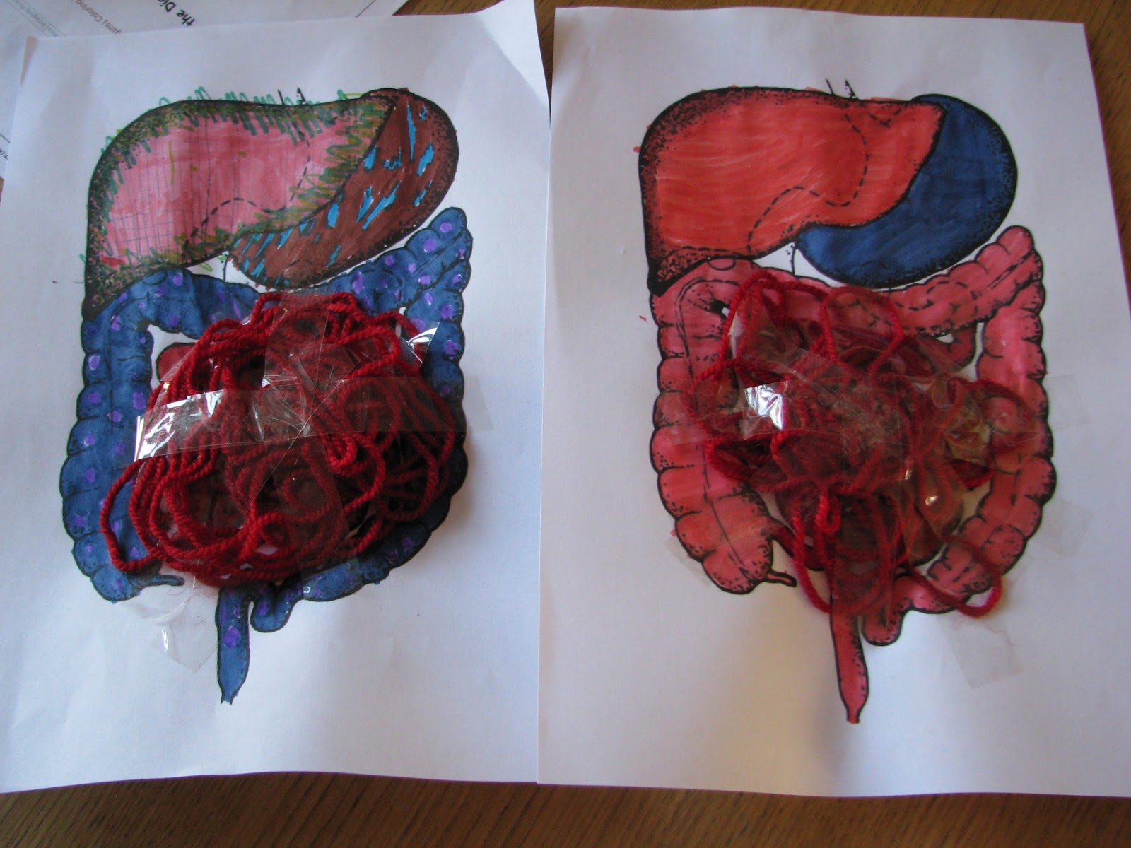 Little Blossoms: Learning About the Digestive System