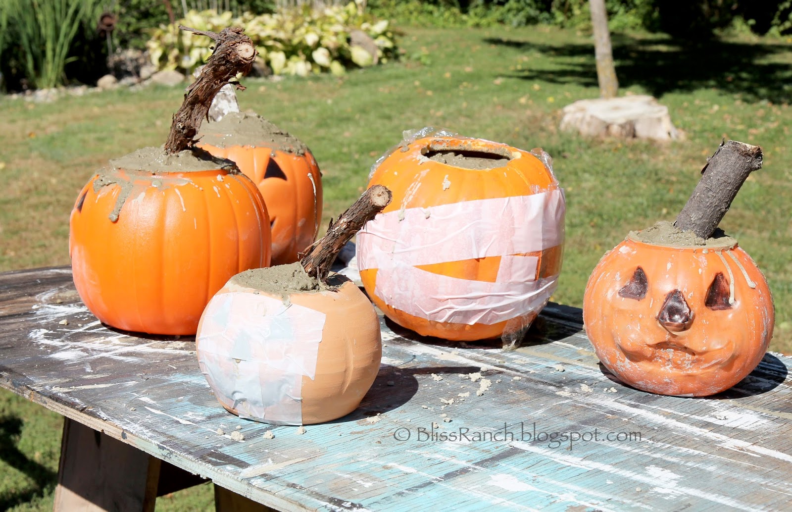 Bliss Ranch: Quick set Concrete Pumpkins