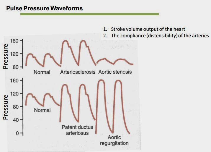 Tutor's Notes: general, cardiovascular, respiratory and renal ...
