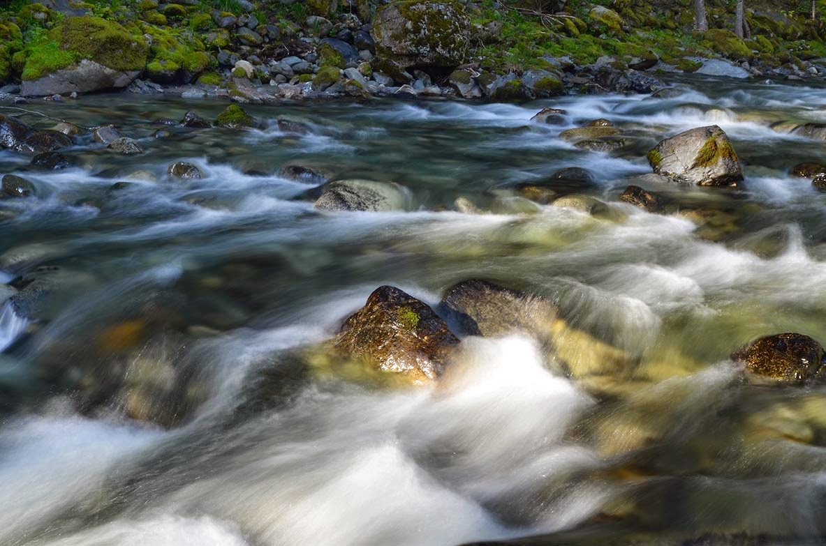 Shane Minton photography