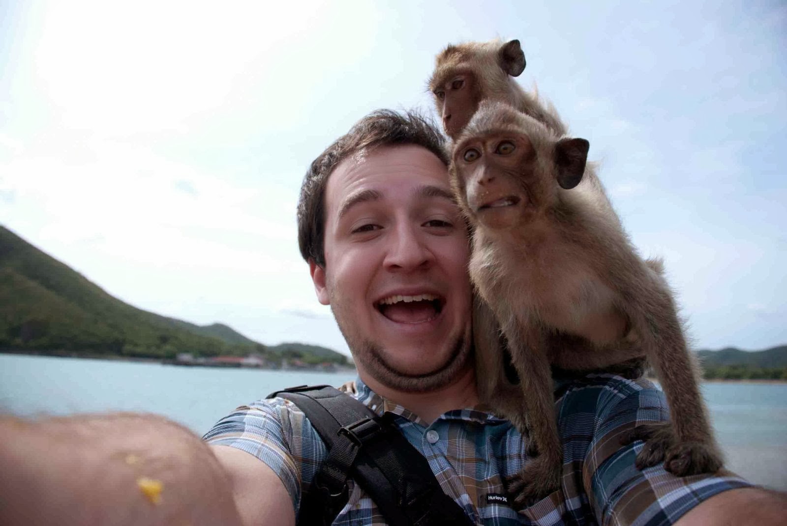 Funny animals taking selfies with humans (35 pics) | Amazing Creatures