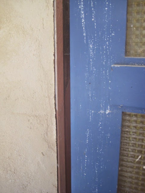 Learning from Scratch: Renovating a house in Brittany