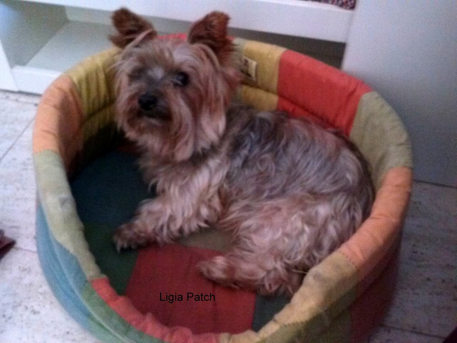 Ligia Patch: junio 2018