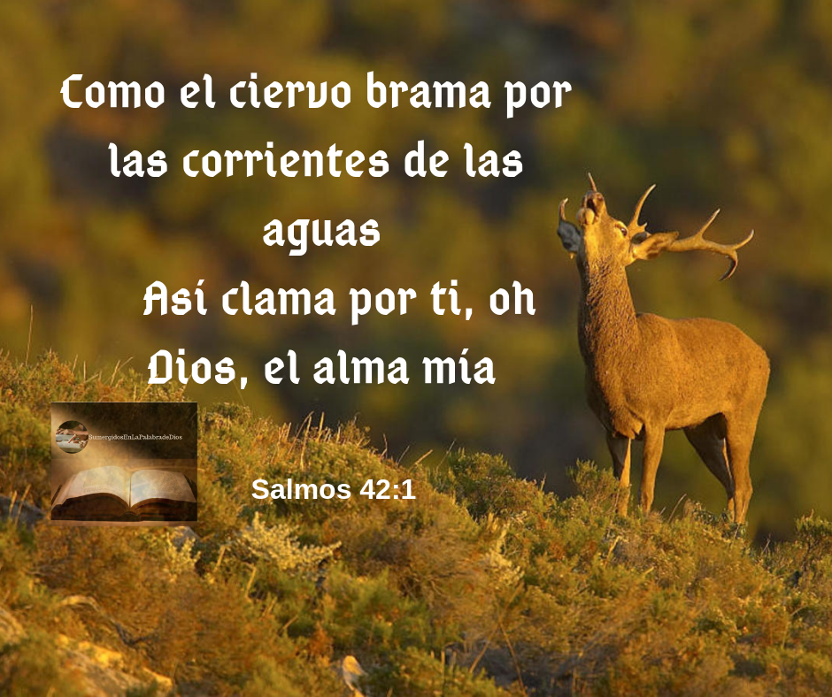 Salmos 42 1 Explicação - RETOEDU