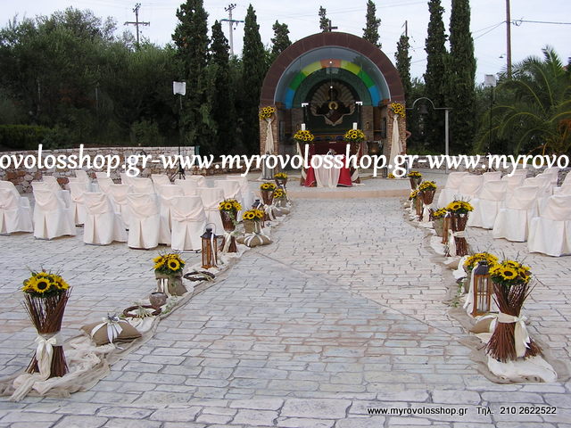 ΓΑΜΟΣ ΚΤΗΜΑ ΖΟΛΩΤΑ, ΗΛΙΟΤΡΟΠΙΑ, ΣΟΛΙΣΜΟΣ ΜΕ ΗΛΙΟΥΣ, ΒΑΣΕΙΣ ΞΥΛΙΝΕΣ ...