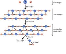 ΕΝΗΜΕΡΩΤΙΚΟ ΔΕΛΤΙΟ ΜΙΚΡΟΒΙΟΛΟΓΙΚΟΥ ΕΡΓΑΣΤΗΡΙΟΥ ΝΝΘΑ "Η ΣΩΤΗΡΙΑ": D ...