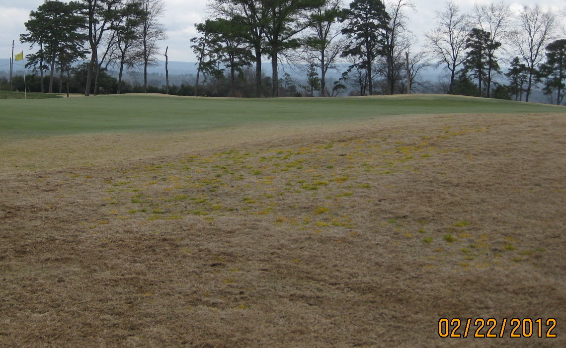 Vestavia Country Club Golf Course Maintenance: Spraying poa around greens