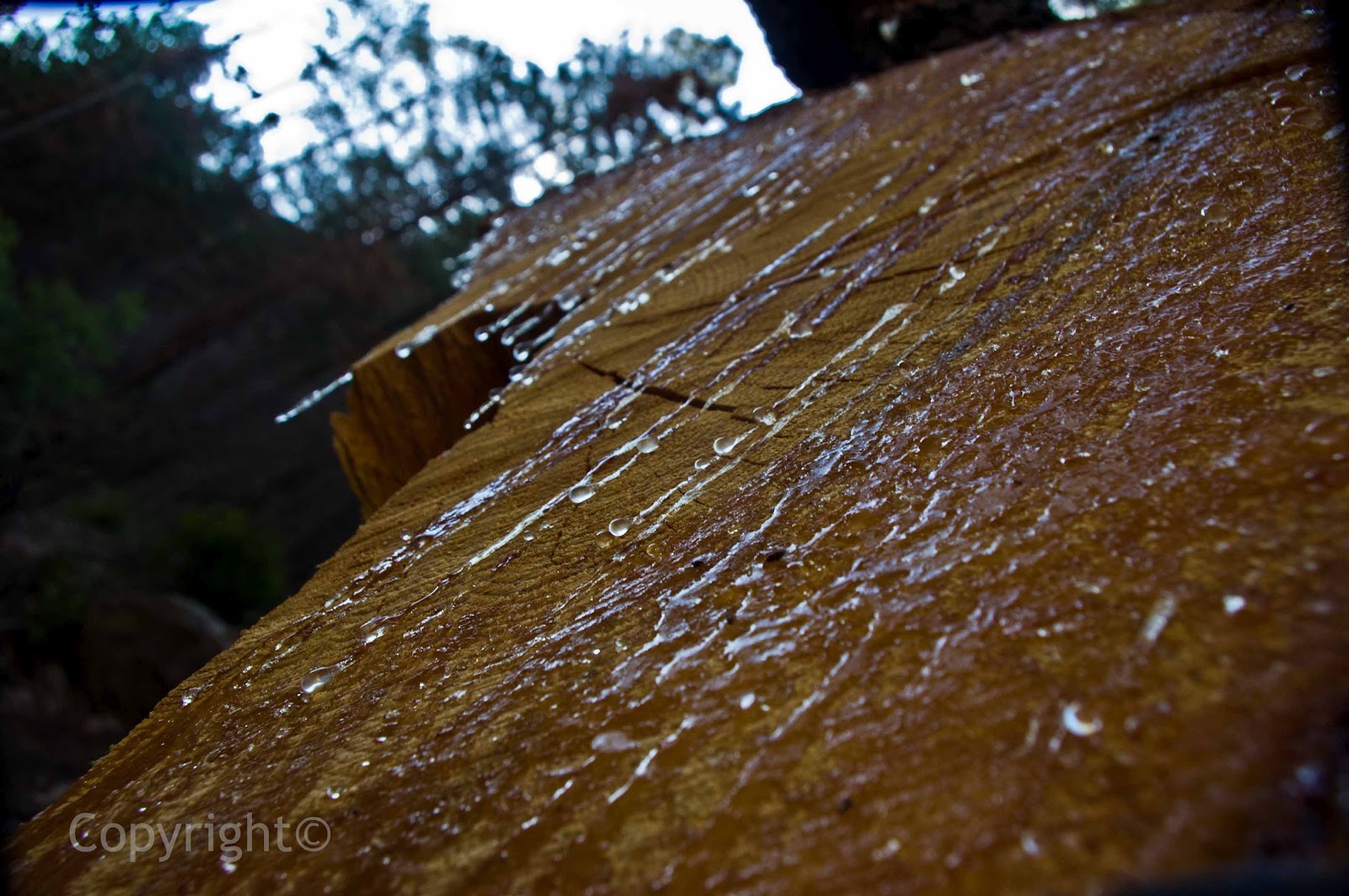 Kaleb Davis Photograpghy