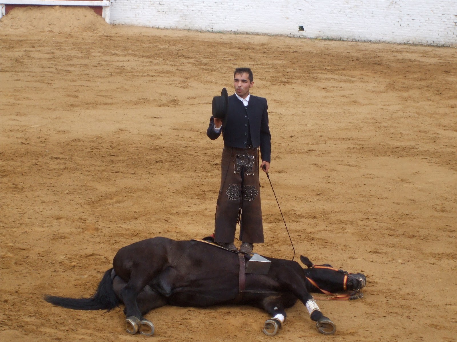 Blog Zuares Del Páramo (León): Esperctaculo de caballos Fiestas Zuares ...