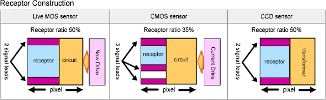 PHOTOGRAPHIC CENTRAL: Panasonic Lumix DMC-L1- Still a Real Gem!
