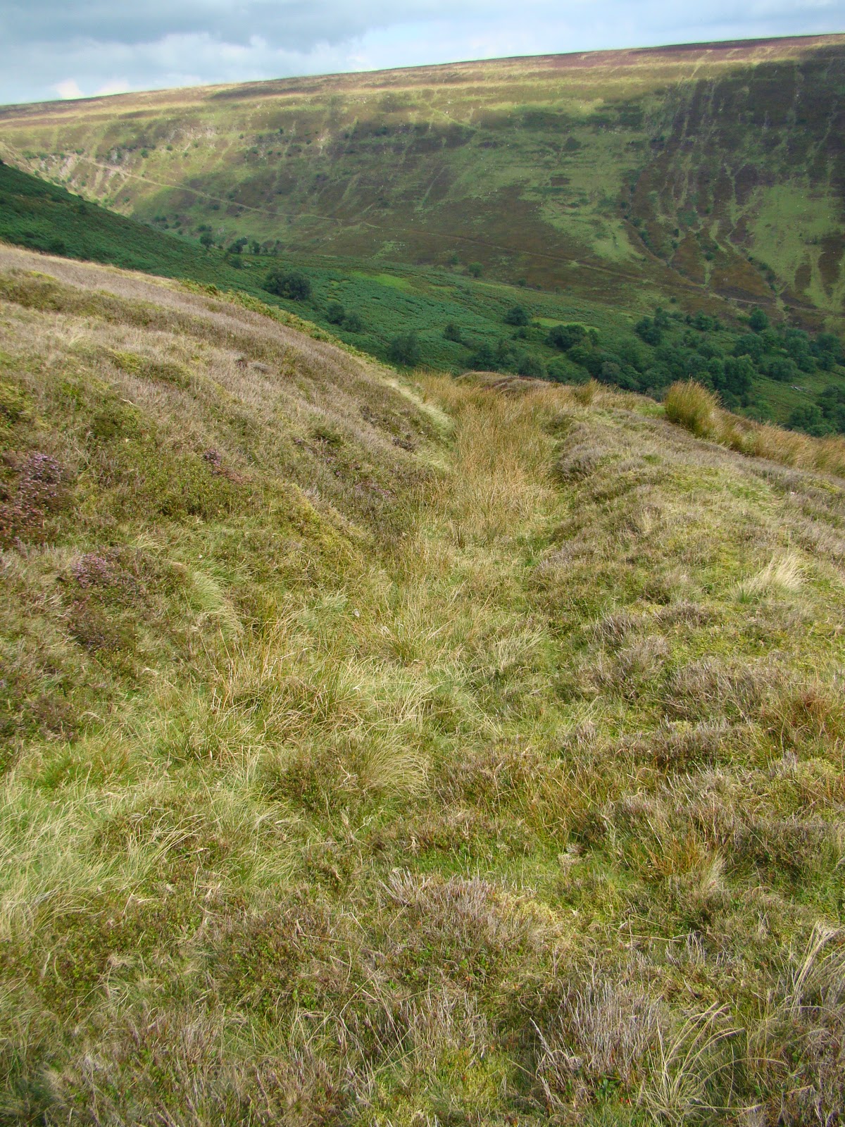 Landscapism: The rhiw paths of the Black Mountains: liminal ways, old ...