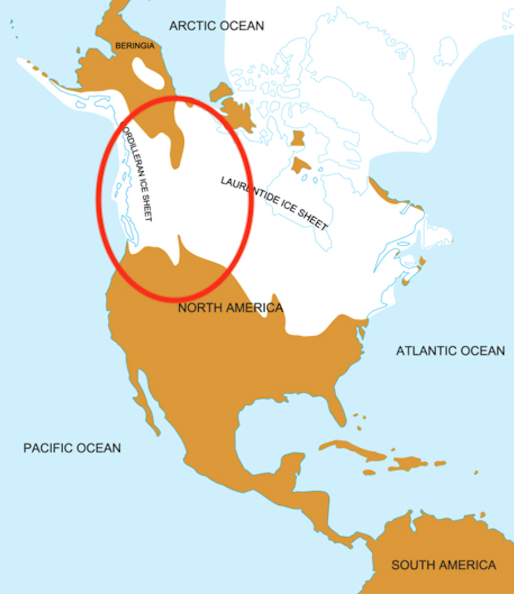 NephiCode: New Understanding that America’s First People Arrived by ...