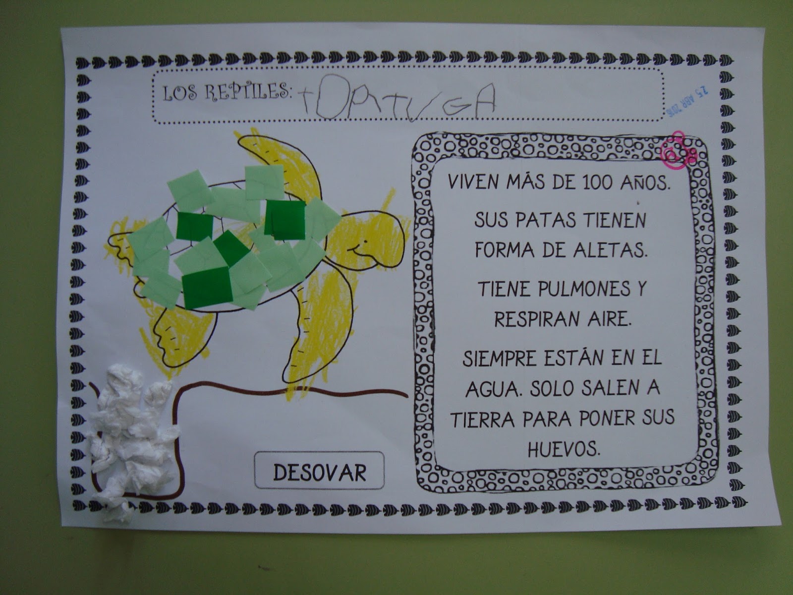 Plastificando ilusiones: La tortuga