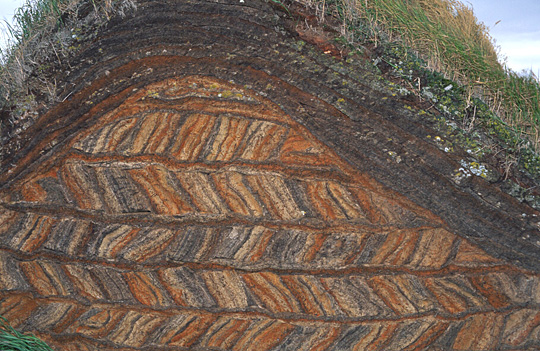 CAJA NEGRA: Arquitectura tradicional Islandesa-Una Arquitectura Sostenible.